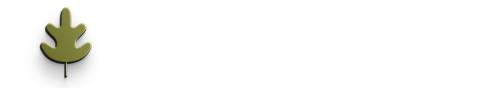 Homepage - Shapers Academy